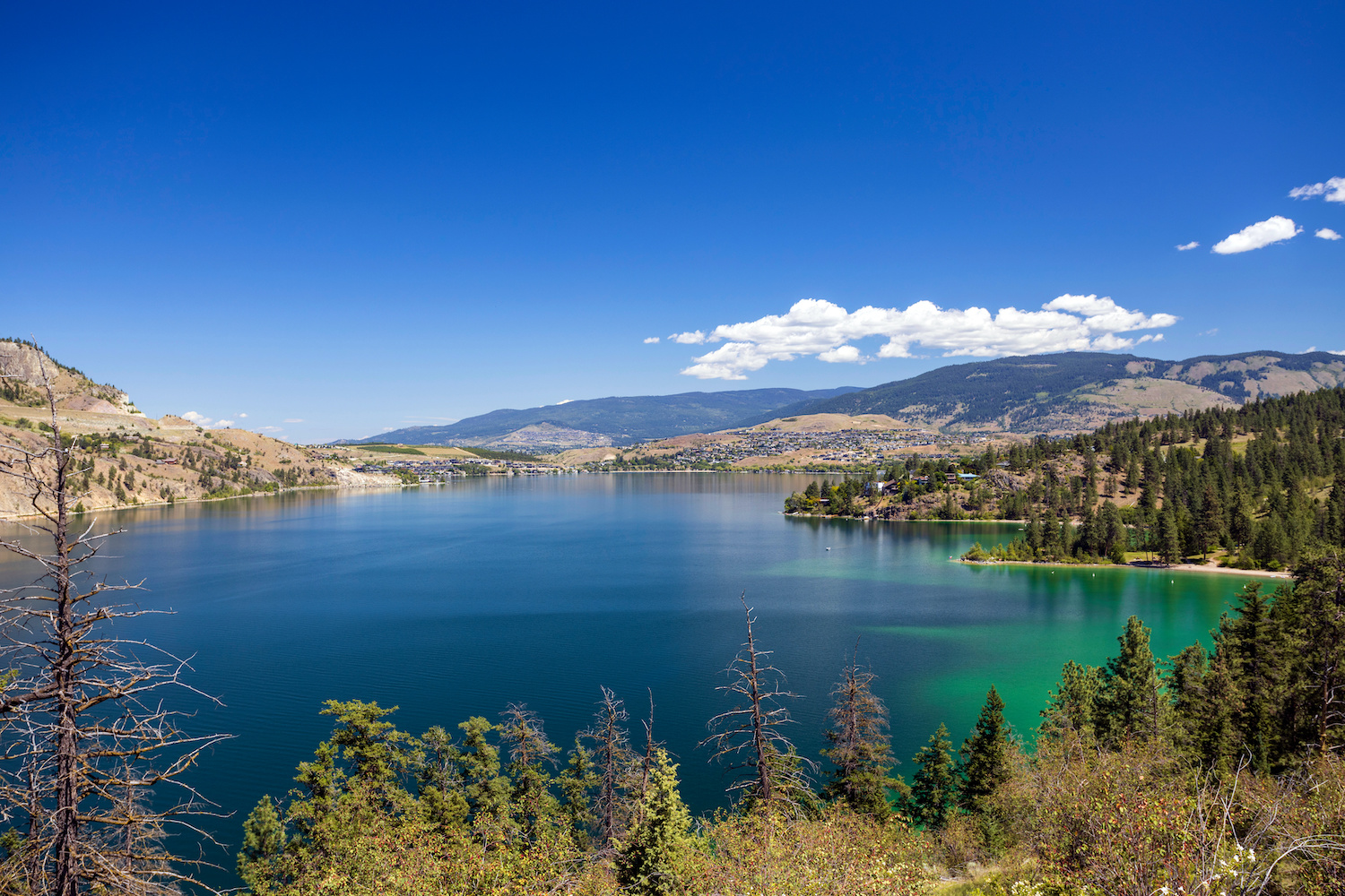 Why Freshwater Conservation in Canada Is Vital Now